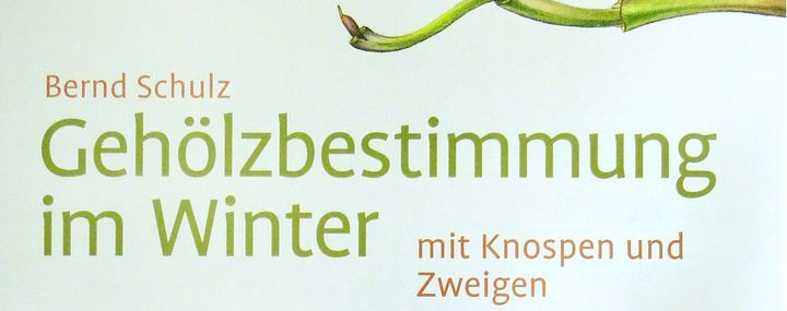 Bernd Schulz: Gehölzbestimmung im Winter mit Knospen und Zweigen